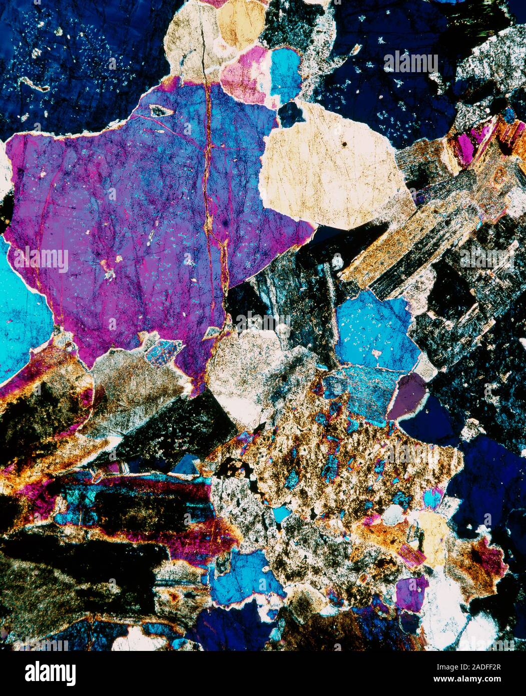 Pegmatite. Polarised light micrograph (PLM) of a thin section through pegmatite rock. Pegmatite ...