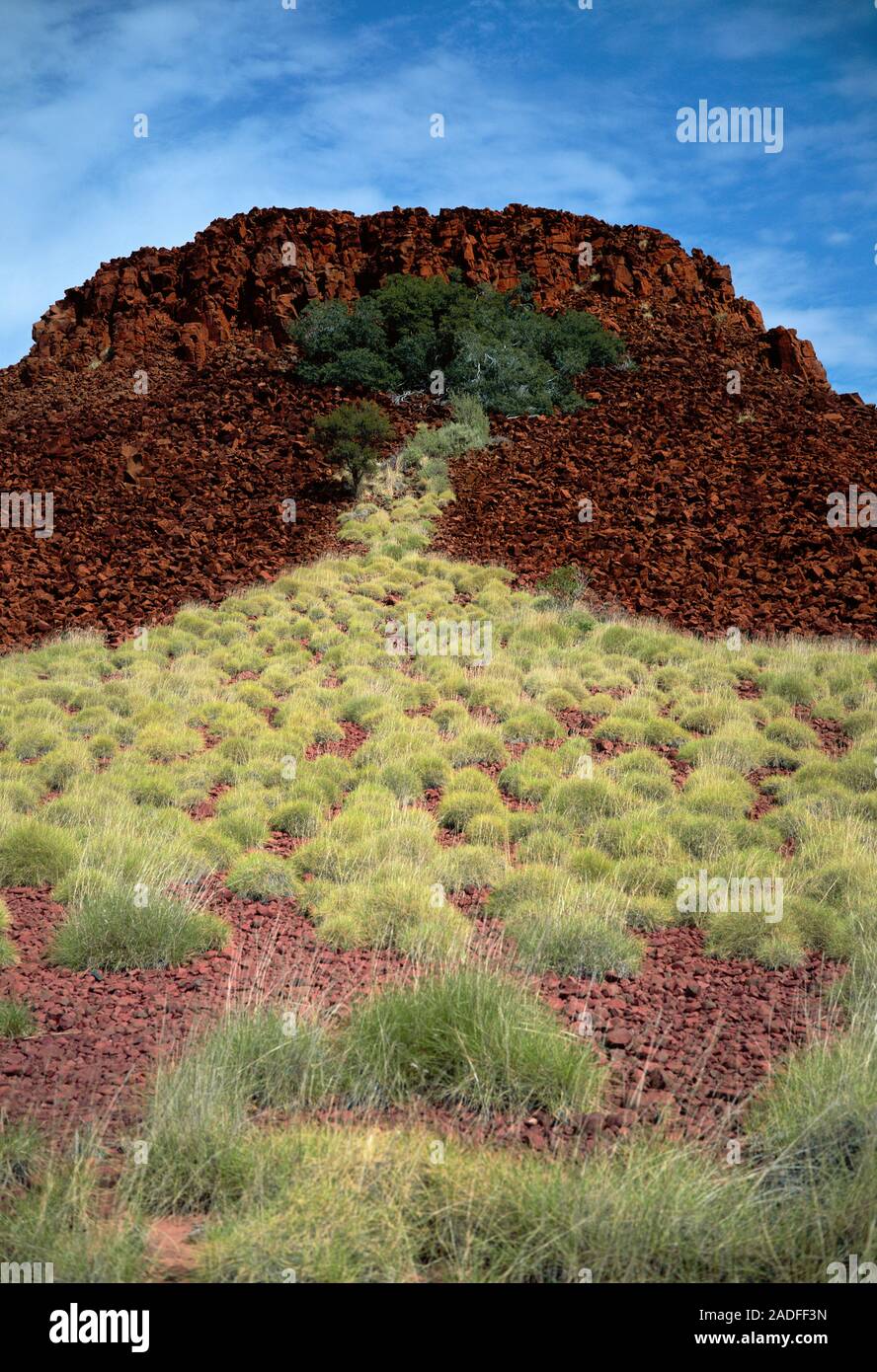 Dolerite outcrop. Dolerite is an intrusive igneous rock, meaning that ...