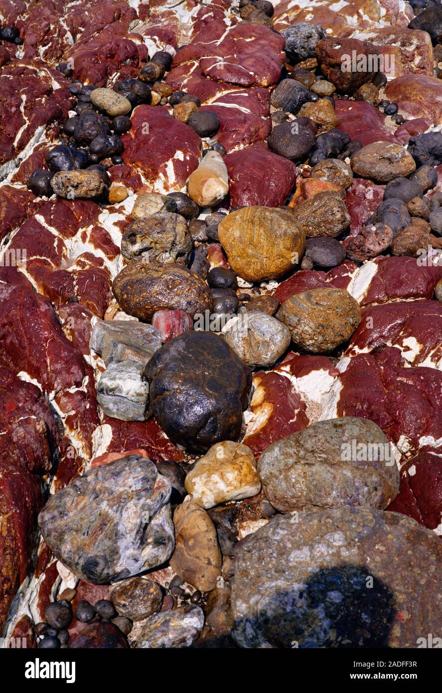 Jasper bedrock with assorted pebbles of other types of rock. Jasper is ...