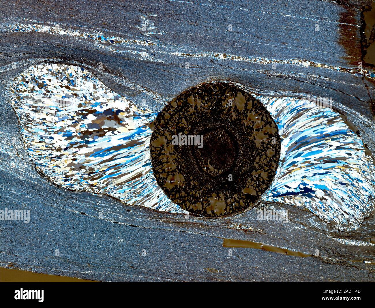 Deformation structure in schist. Polarised light micrograph of quartz ...