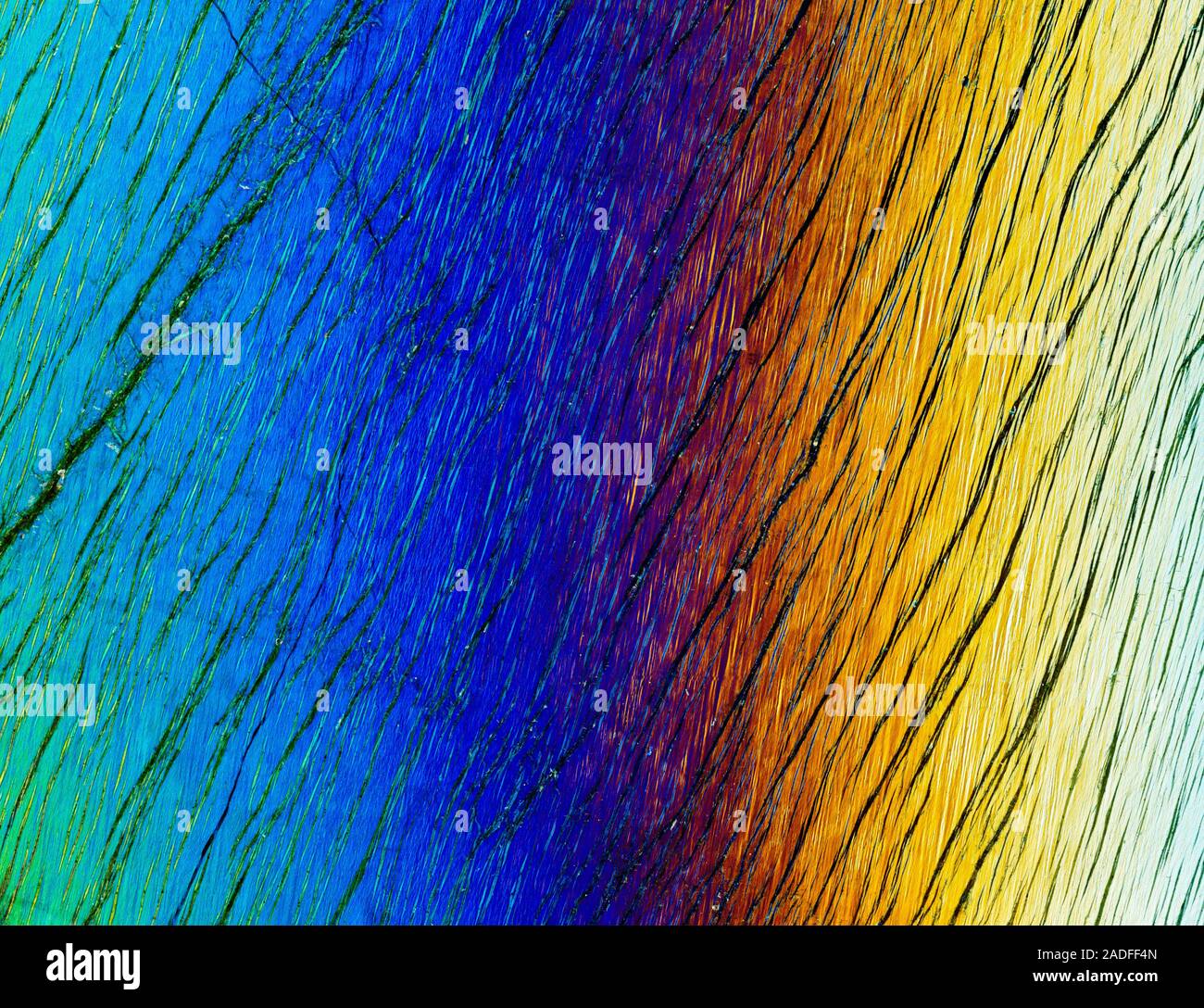 Perthite, thin section viewed in polarized light. Perthite is a rock ...