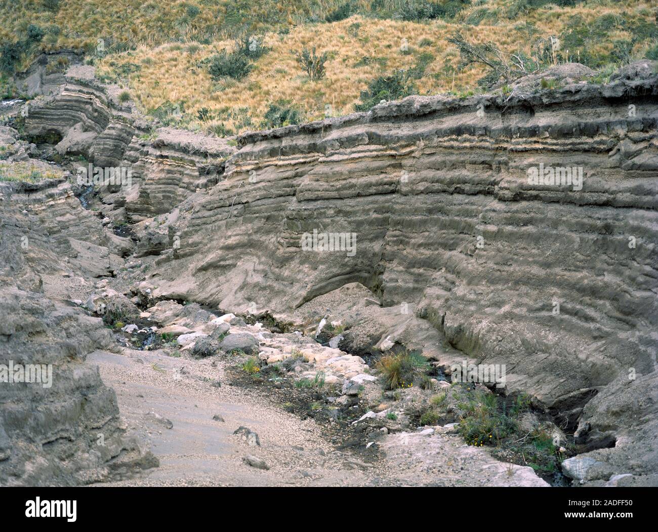 Rock strata. Water erosion in a gully has revealed layers of ash from ...