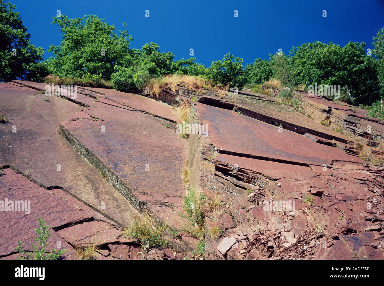 Red slate. Slate is a metamorphic rock produced by the action of heat ...