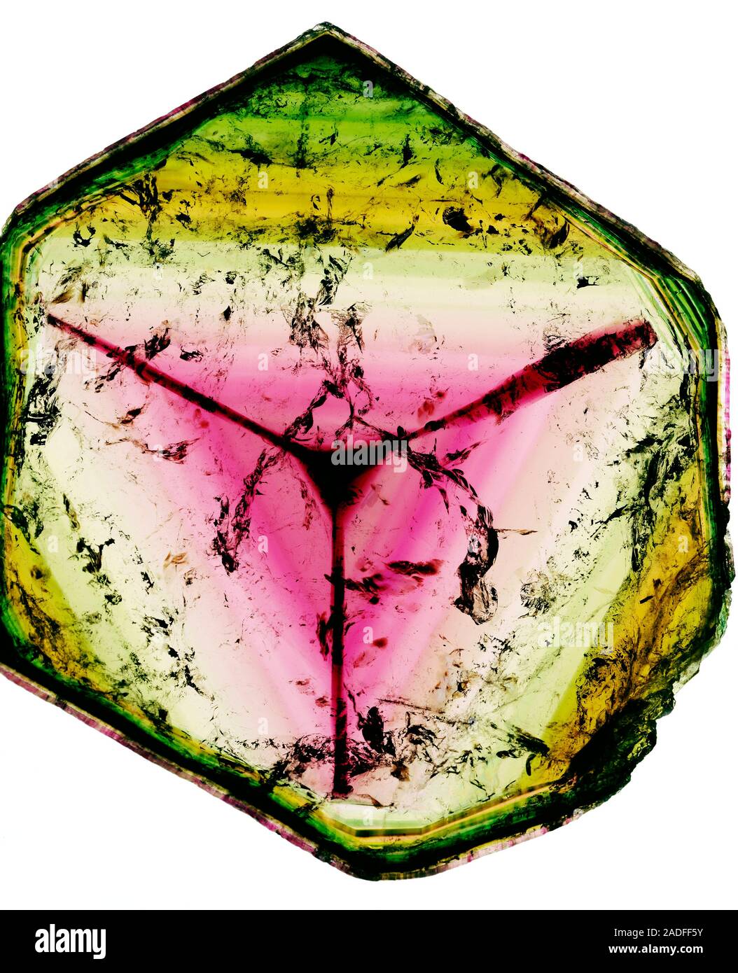 Tourmaline crystal. Cross section through tourmaline crystal seen in ...