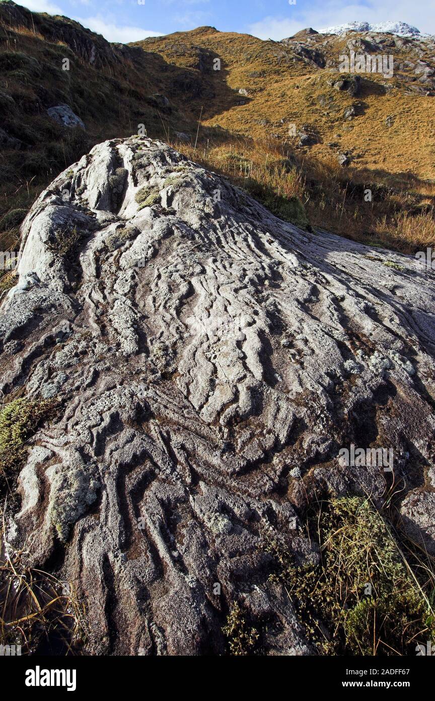 Metamorphic rock. This contorted rock is of the Moine series, Morar ...