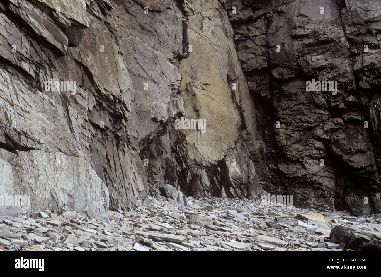 Slate cliff face. Photographed at Cape Enrage, Barn Marsh Island, New ...