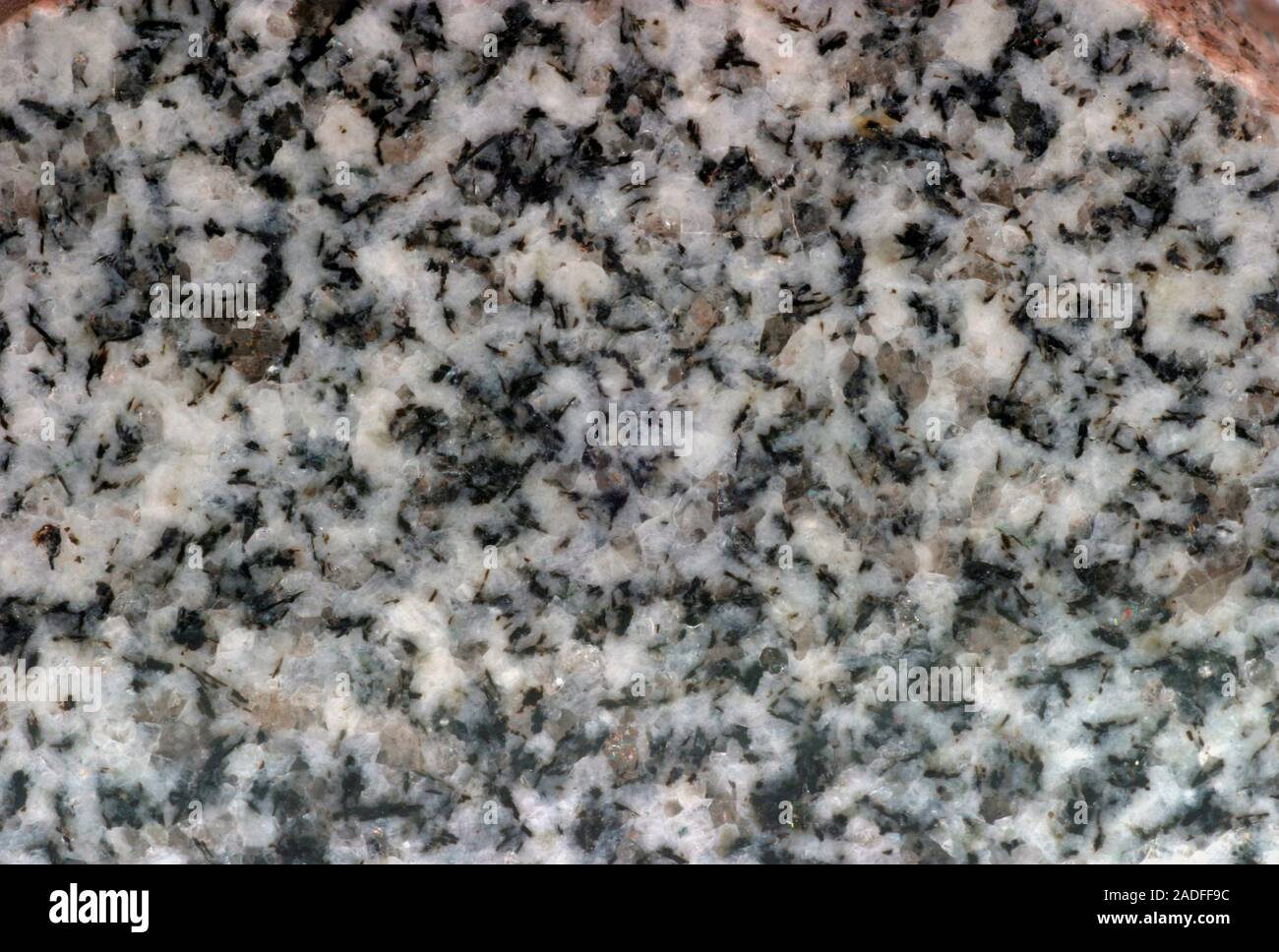 Granite sample, close-up. Granite is an intrusive igneous rock ...