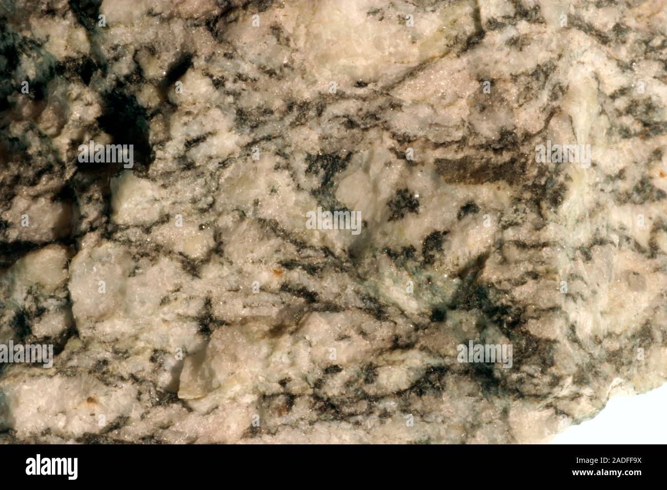 Granite sample, close-up. Granite is an intrusive igneous rock ...