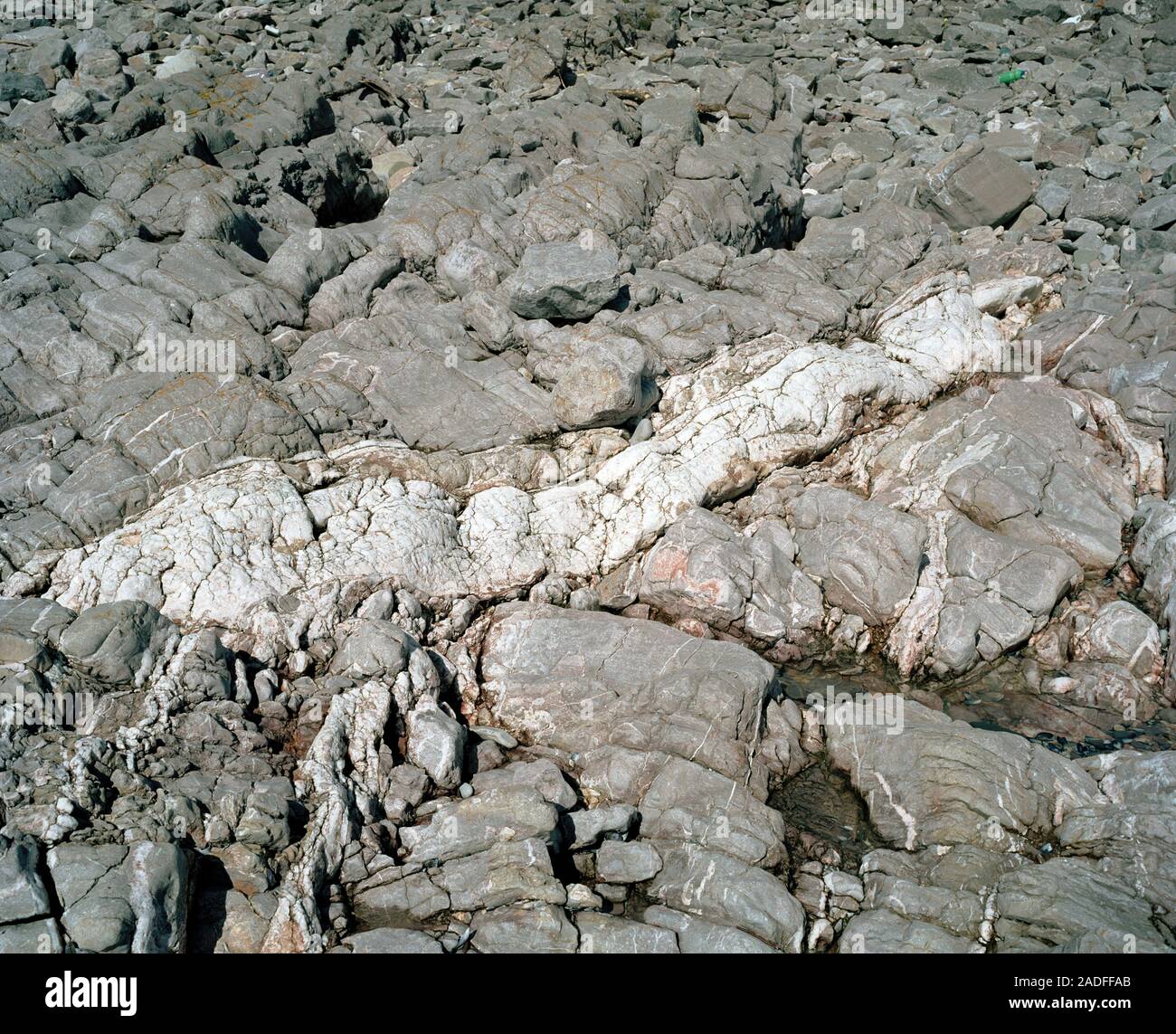 Quartz mineral in limestone rock. This band of quartz (white) is ...