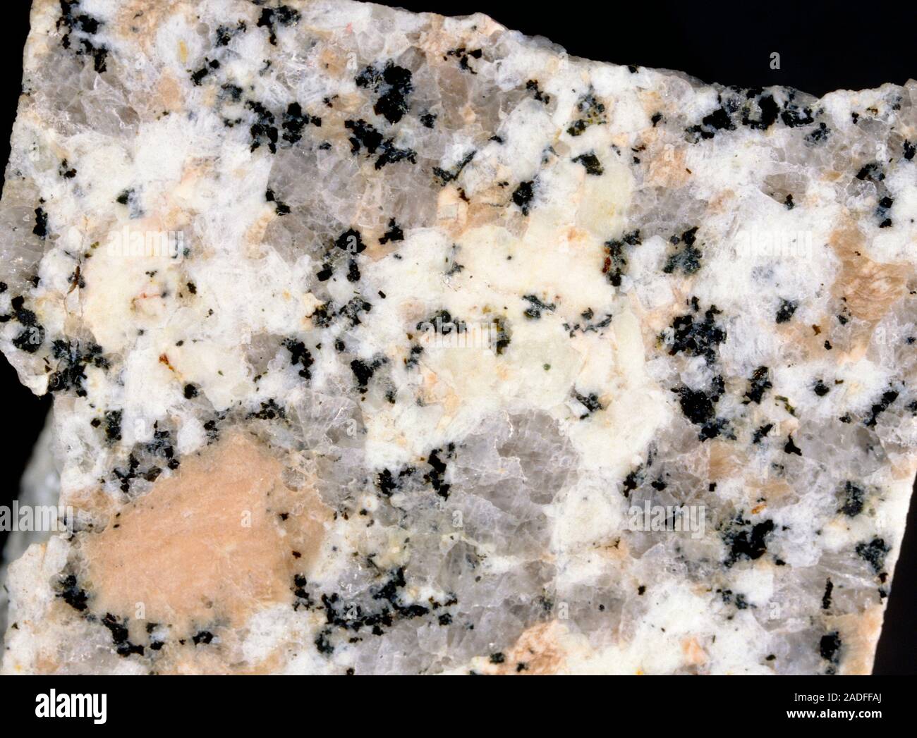 Polished white granite. Granite is an igneous rock, one that formed ...