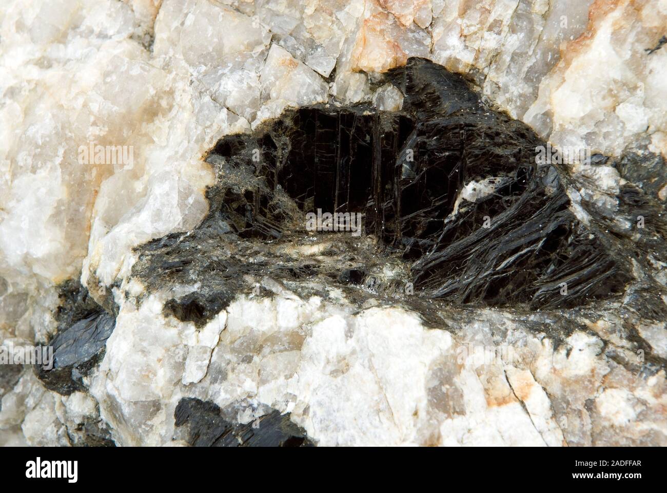 Mica inclusion (black) and quartz crystals (white) in igneous rock ...