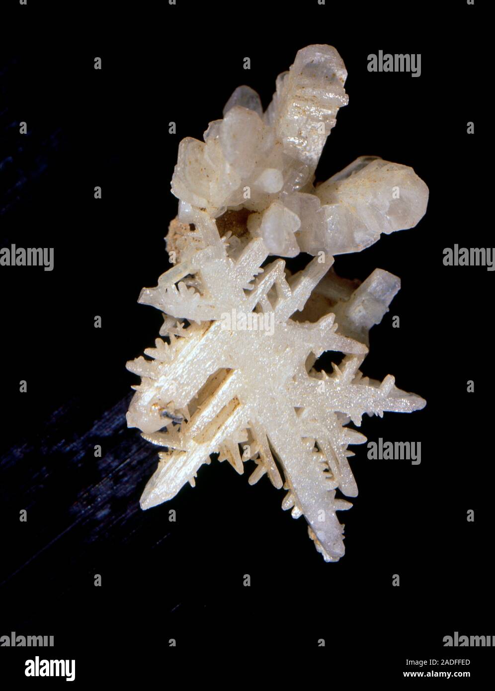 Cerussite crystals. Cerrusite (lead carbonate) crystals are colourless ...