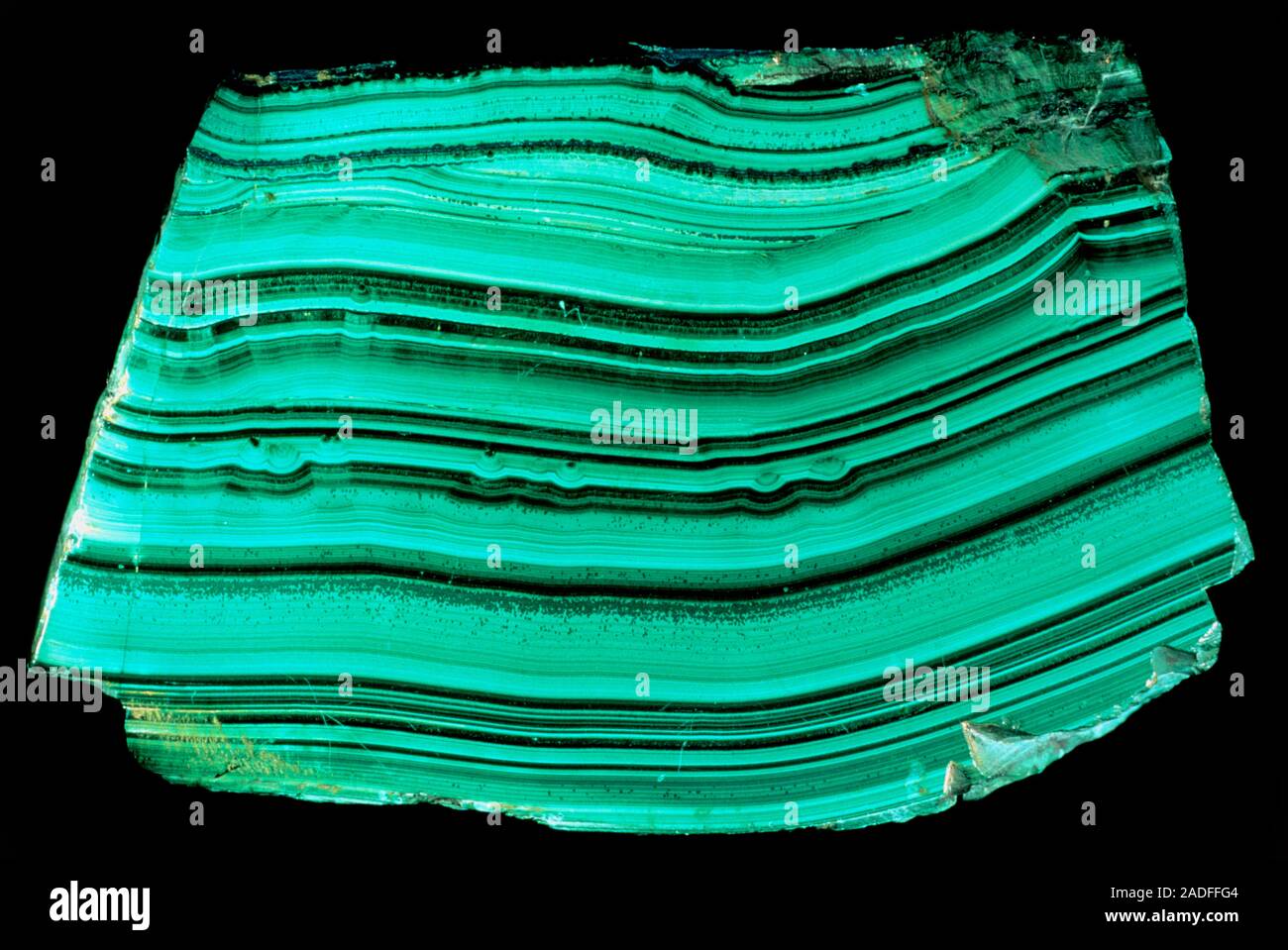 A polished slab of malachite. Malachite (hydrous copper carbonate) is a ...