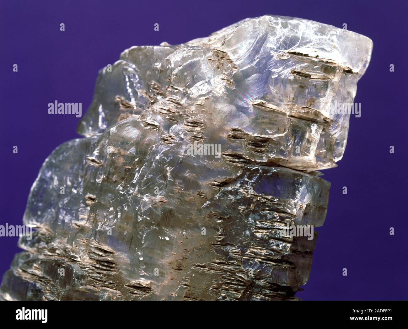 Selenite. View of a sample of selenite, a form of gypsum (hydrated ...