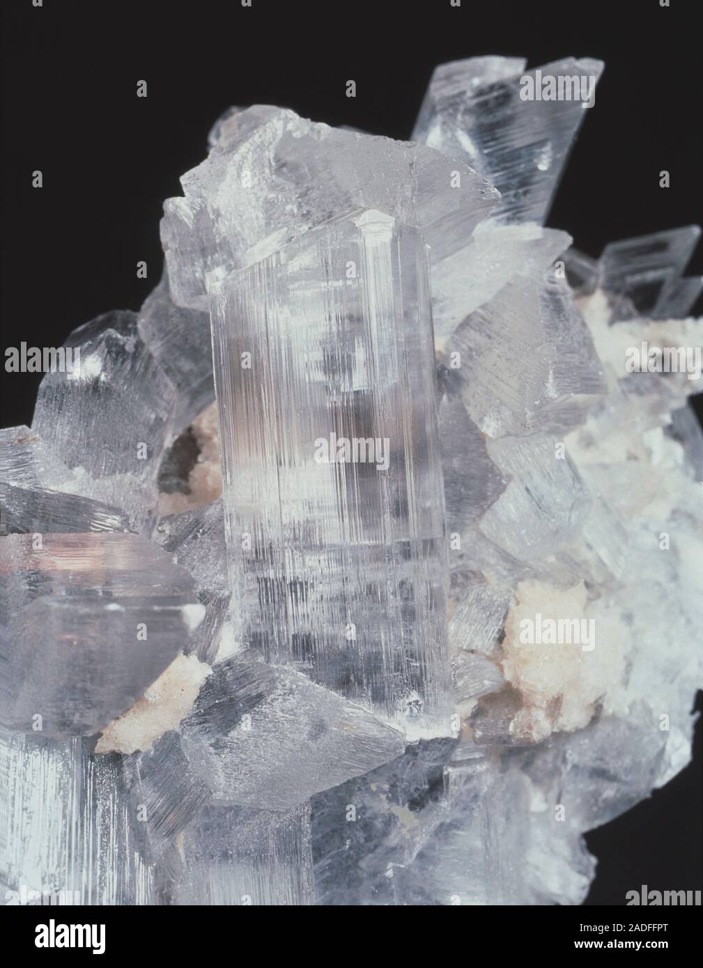 Gypsum crystals. Gypsum, hydrated calcium sulphate (formula: CaSO4.2H2O ...