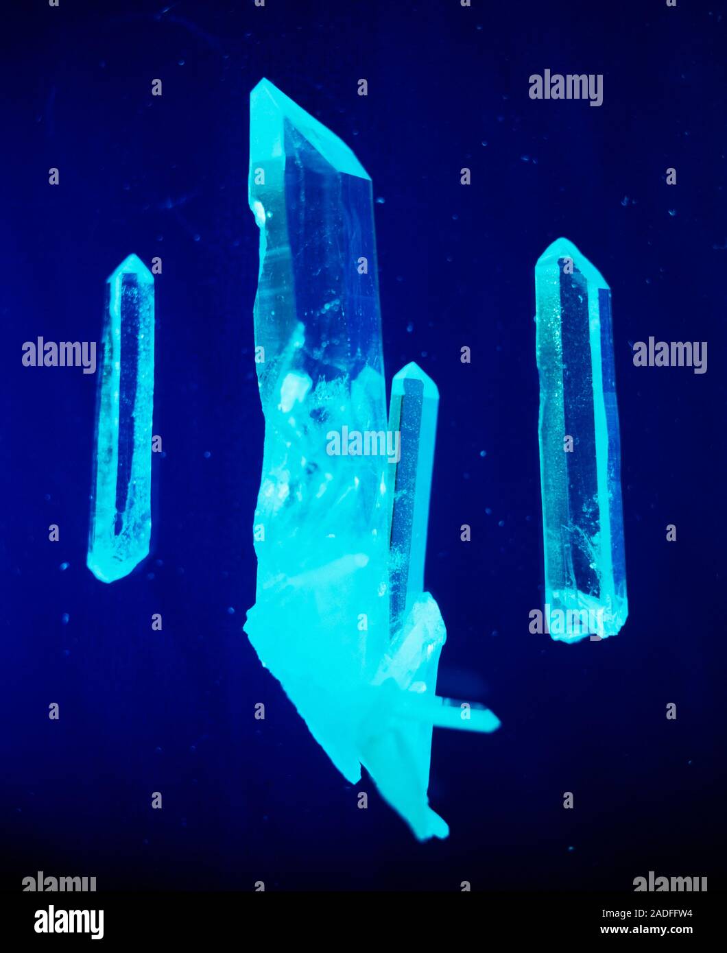 Quartz crystals. Quartz or silicon dioxide (SiO2) photographed under blue light. Quartz is one ...