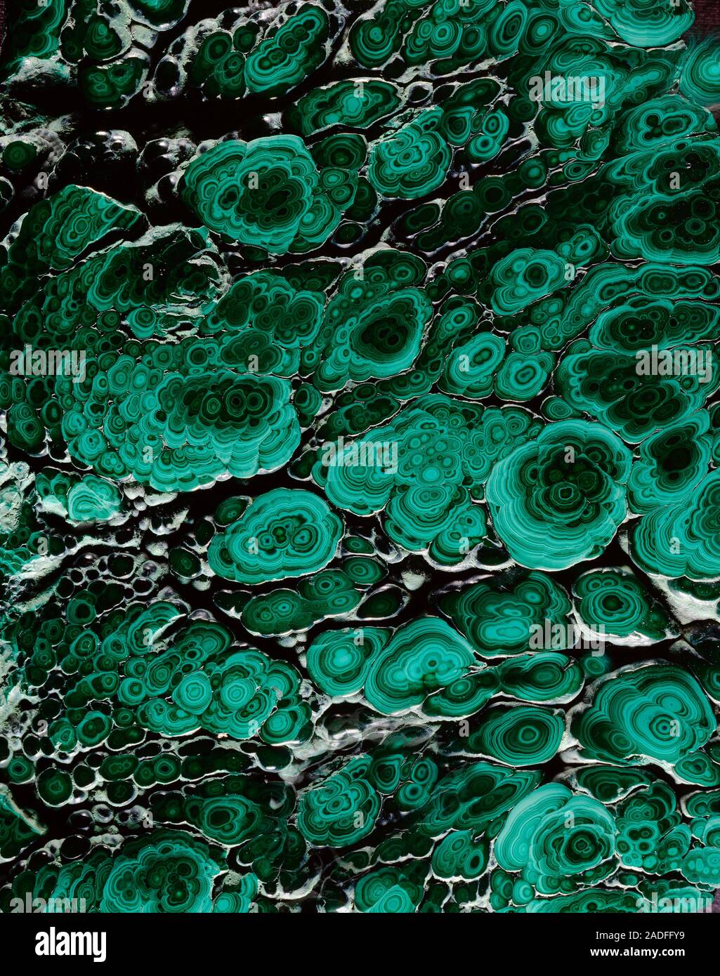 Malachite, cut and polished section. Malachite is a hydrated form of ... Malachite, cut and polished section. Malachite is a hydrated form of ...