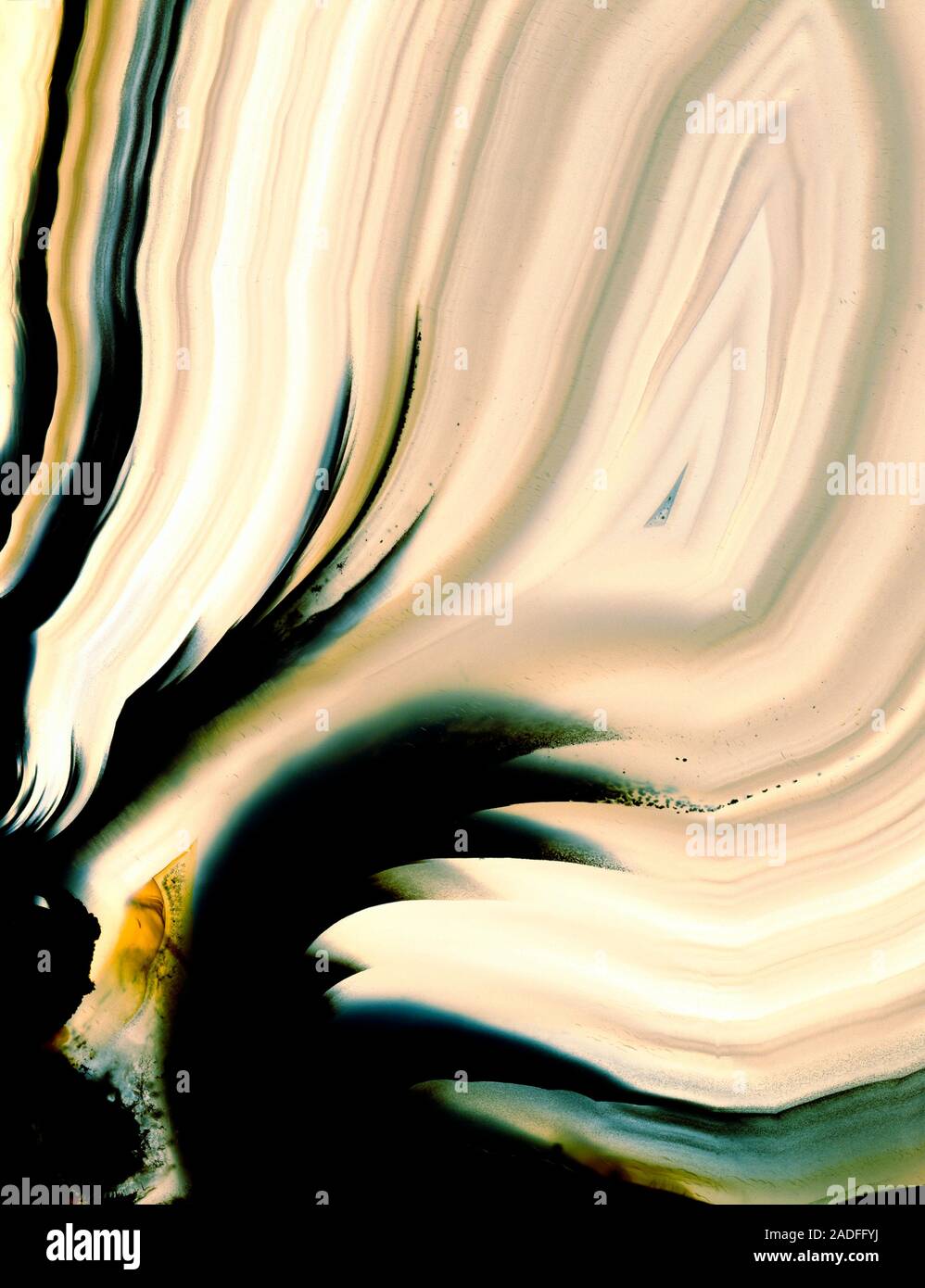 Geode. Macrophotograph of the cut and polished surface of a sectioned ...