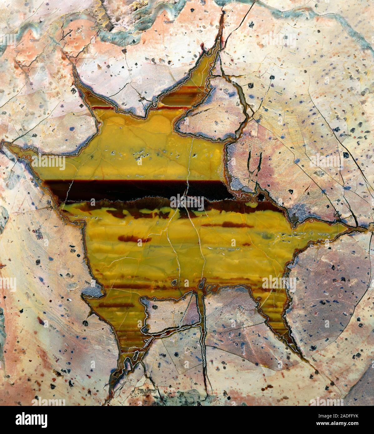 Thunderegg geode. Macrophotograph of the surface of a sectioned geode ...