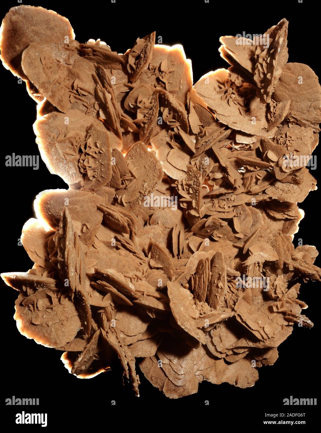 Desert rose of gypsum crystals. A desert rose is formed when sand ...