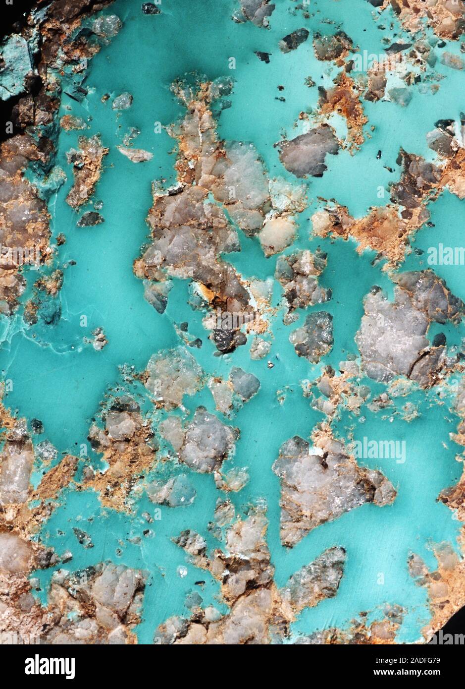 Turquoise, a rare opaque mineral and ornamental stone. It is a hydrated ...