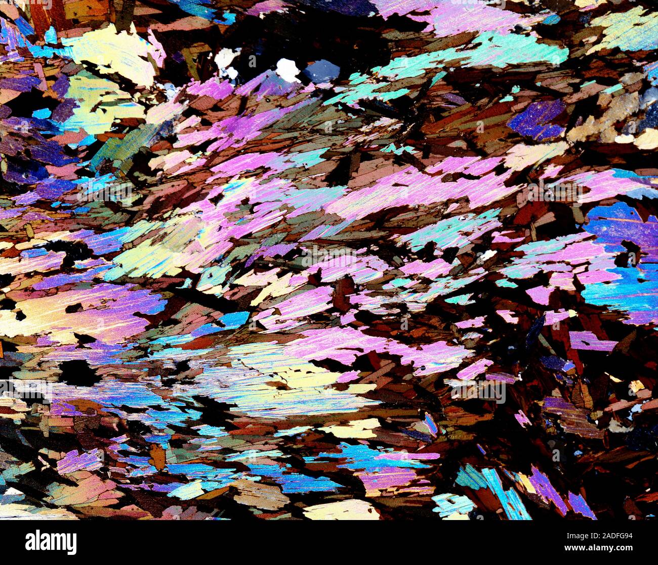 Thin section of mica. Polarised light micrograph of micaceous minerals ...