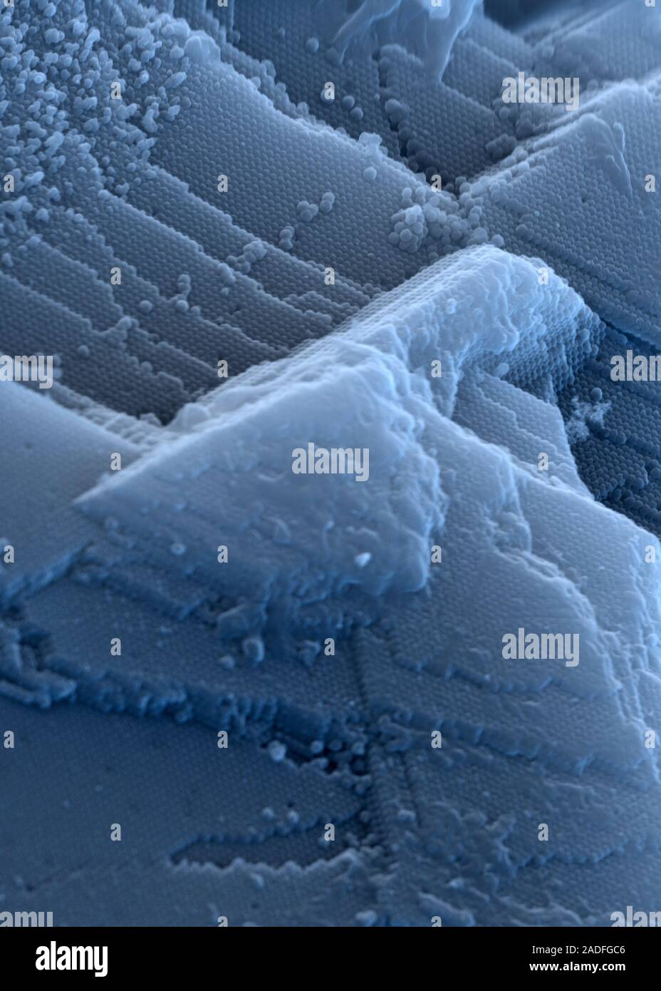 Ruby. Coloured scanning electron micrograph (SEM) of artificially grown ...