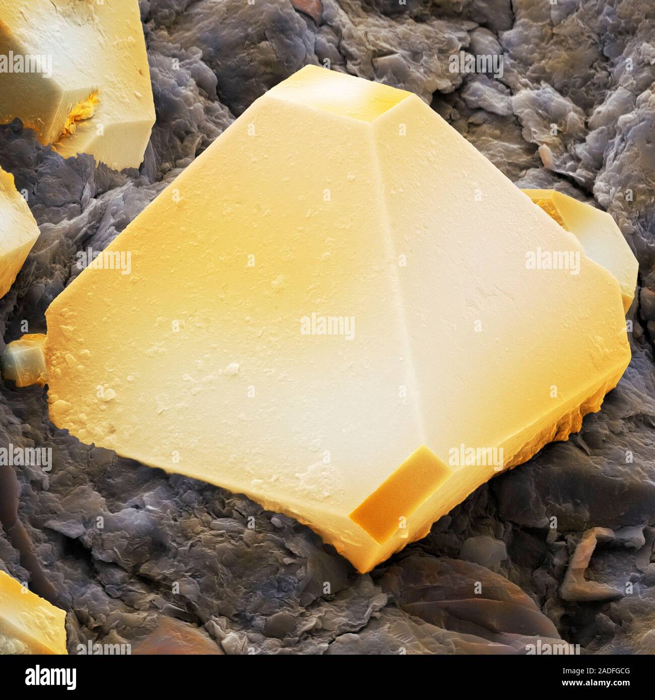 Iron pyrite crystal, coloured scanning electron micrograph (SEM). Iron ...