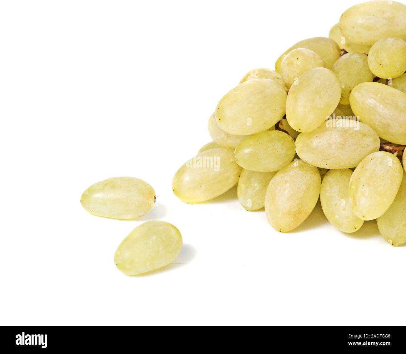 Grapevine isolated on white background Stock Photo - Alamy