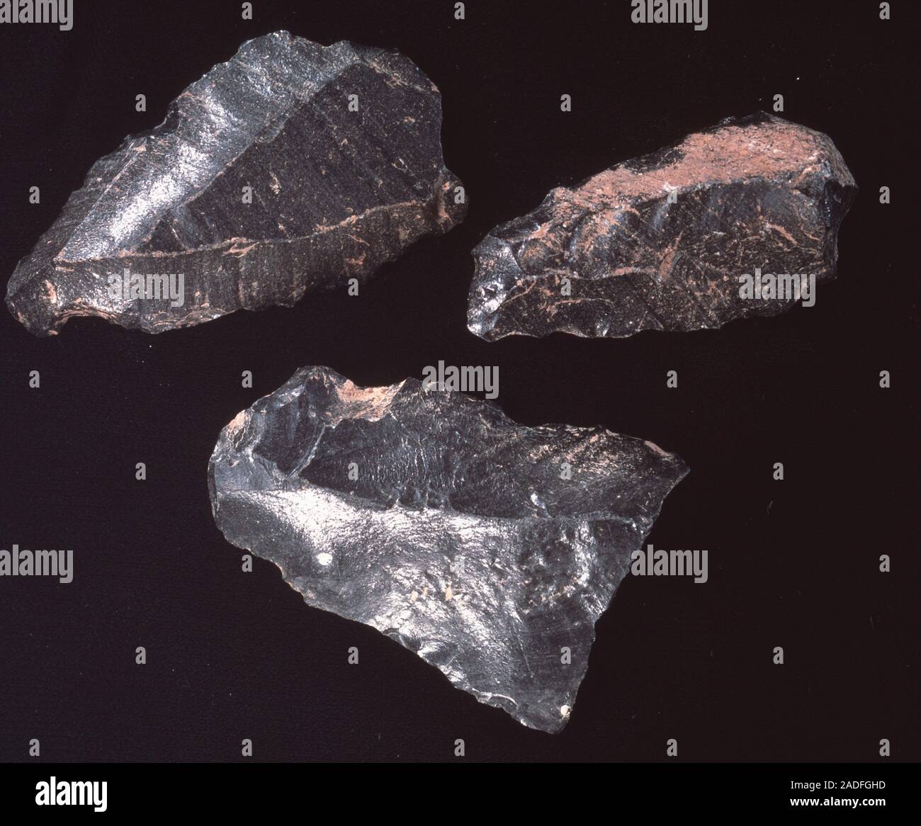 Neolithic tools. Ancient stone tools made by neolithic (stone age ...