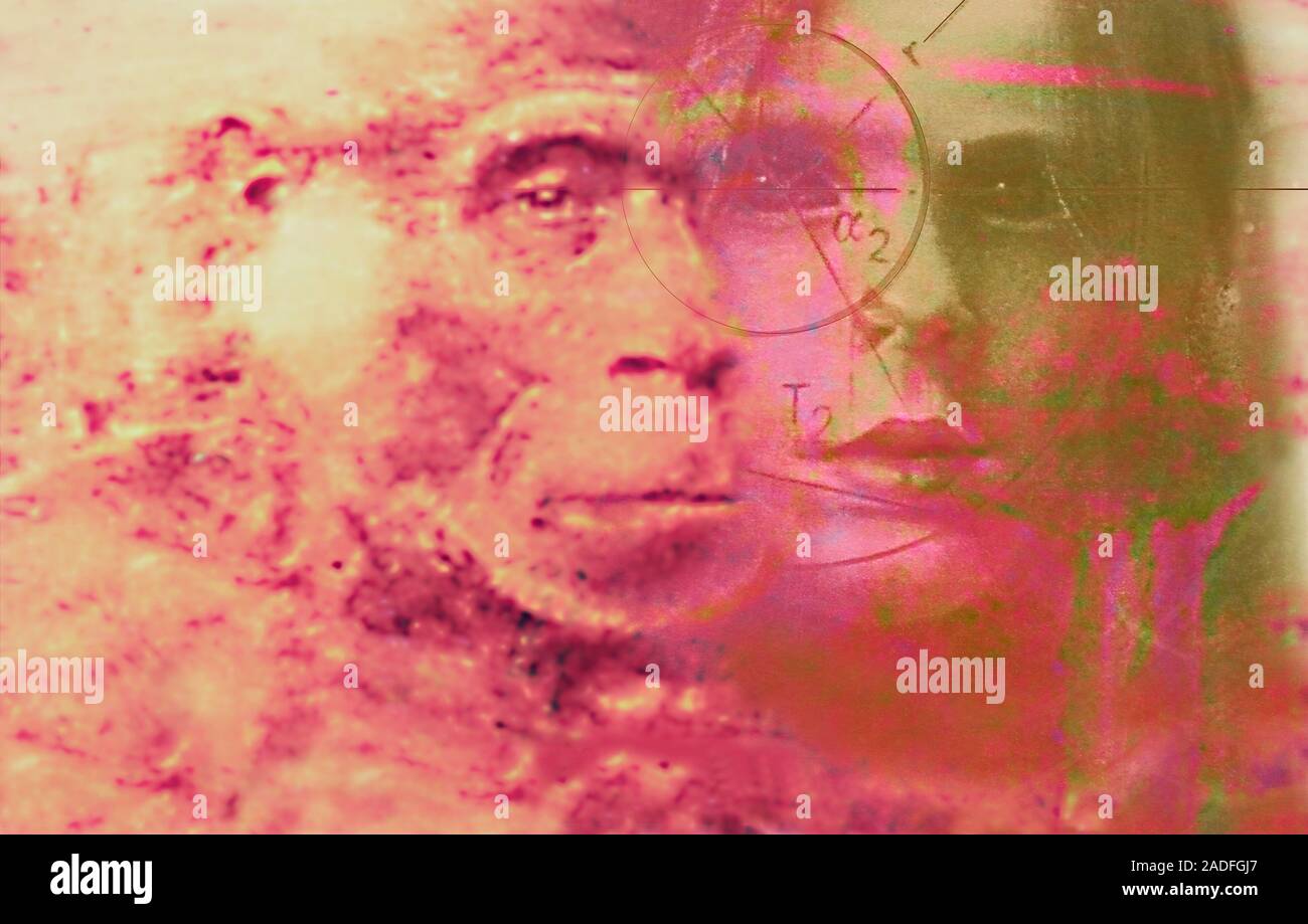 Evolution. Conceptual computer artwork representing the evolution of ...