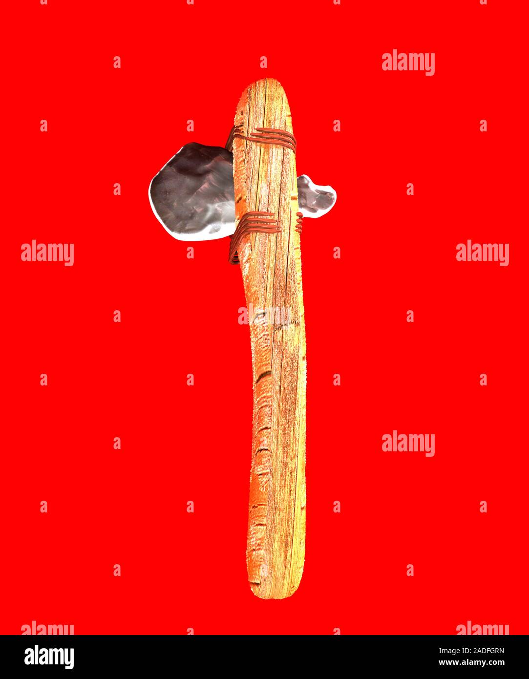 Stone age axe, computer artwork. Axes such as this, with a sharpened ...