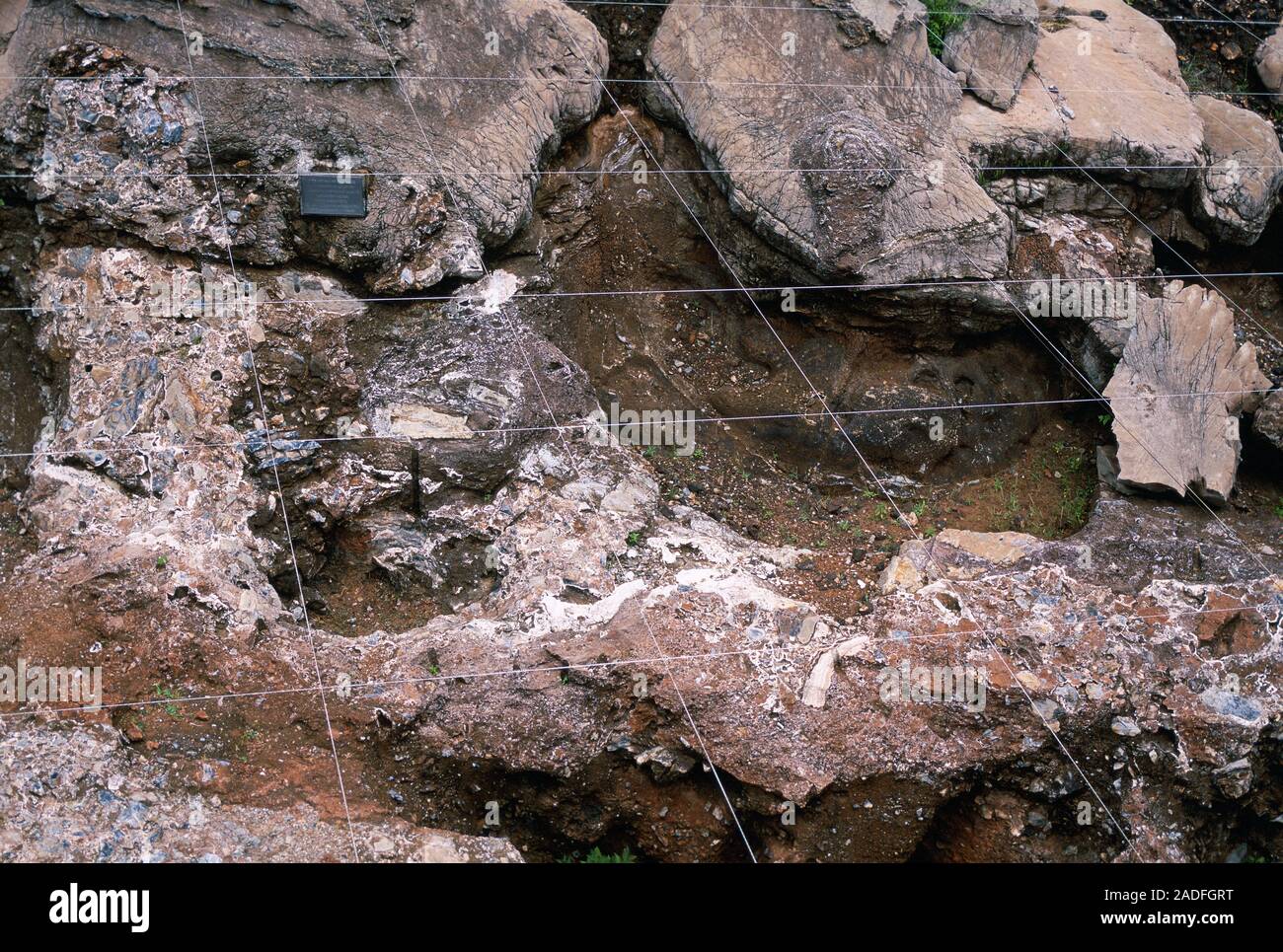 Sterkfontein cave excavation. Sterkfontein, in South Africa, is the ...