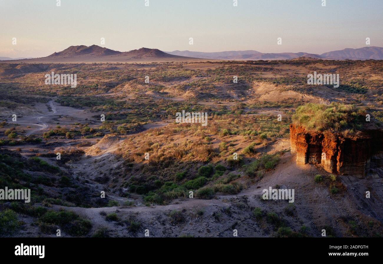 Olduvai Gorge, Tanzania. This gorge, a steep-sided ravine in the Great ...