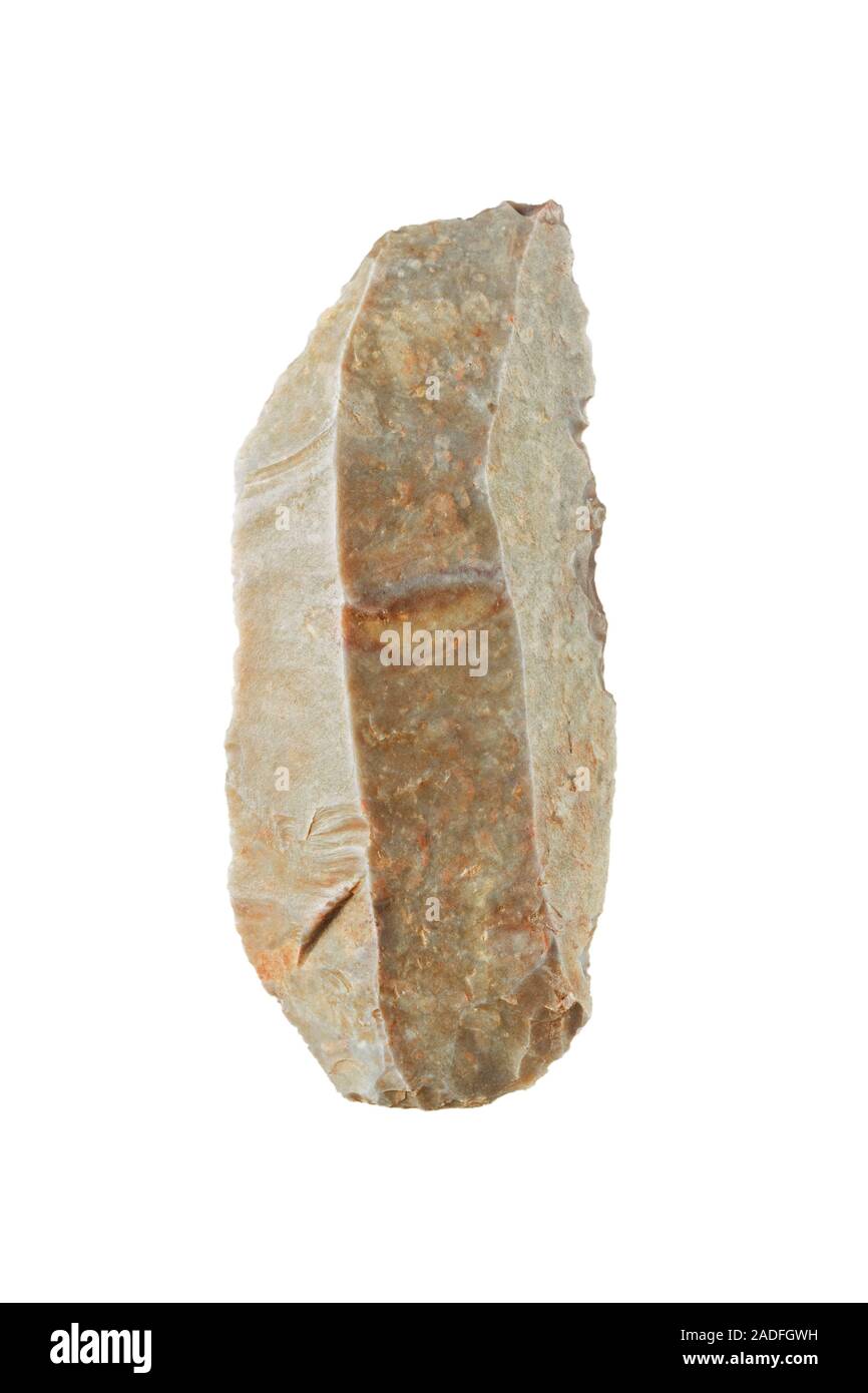 A large Neolithic Flint Scraper from Agadez, Niger. This specimen is ...