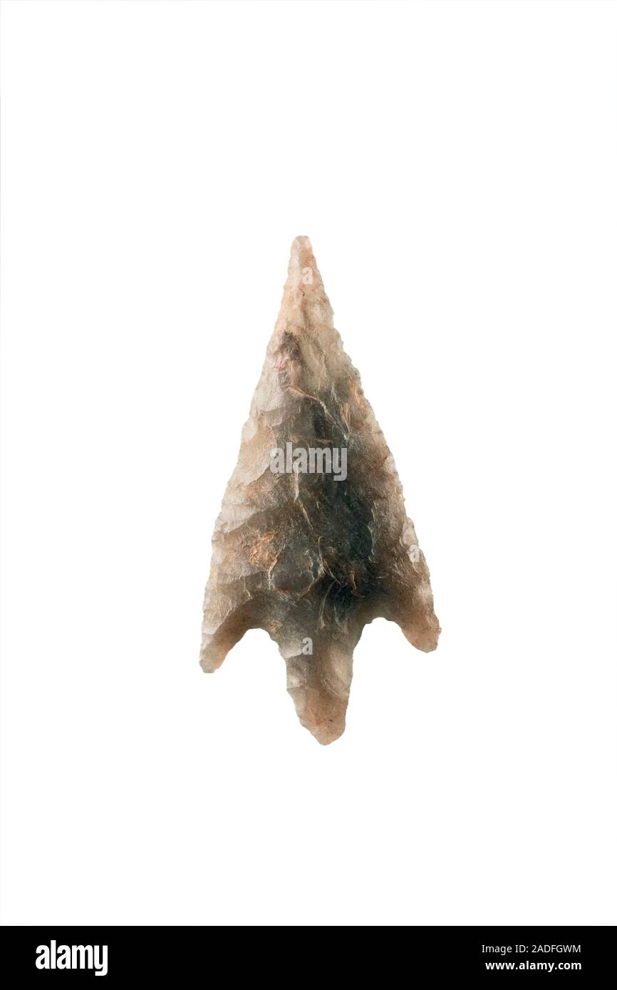 Neolithic arrowhead. This is a large Stemmed triangle arrowhead made of ...