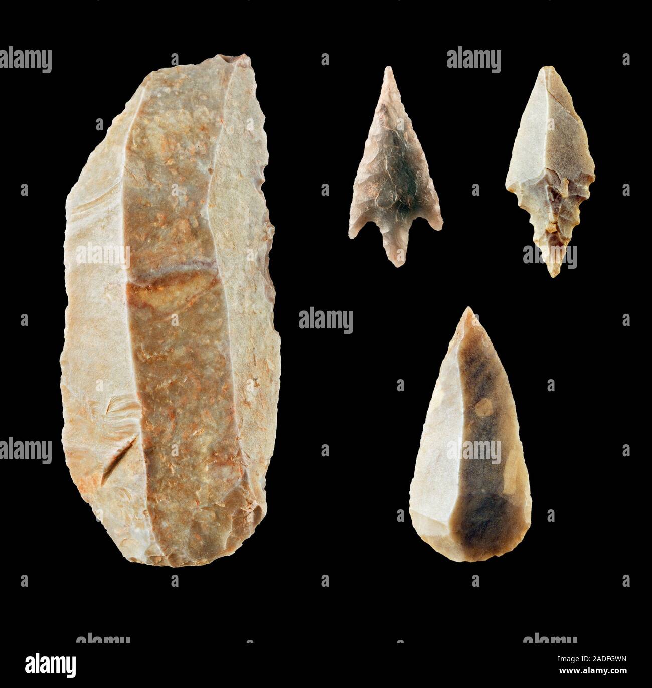Neolithic flint tools. Collection of Saharan neolithic tools consisting of flint scraper (left ...
