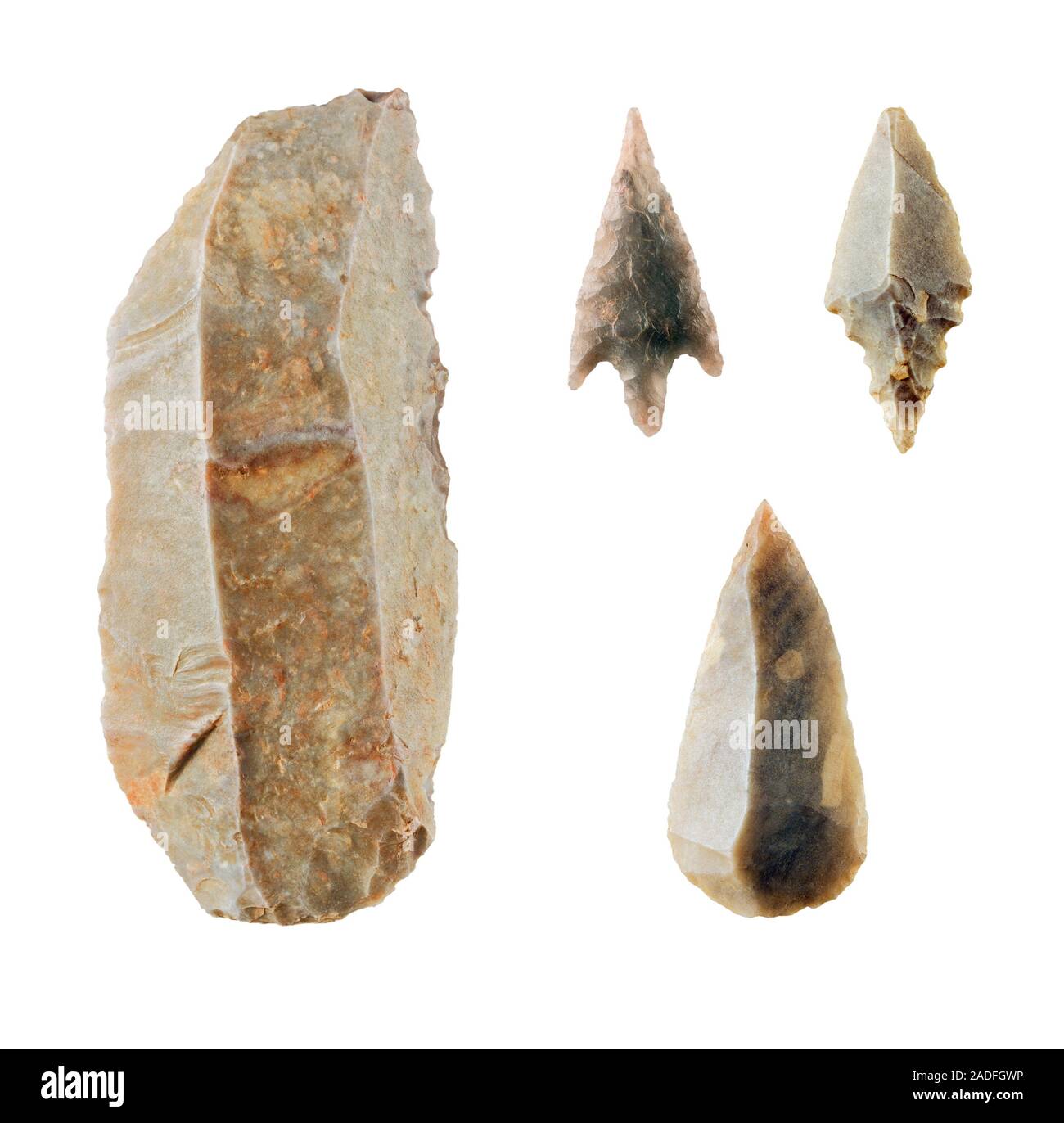 Neolithic flint tools. Collection of Saharan neolithic tools consisting ...
