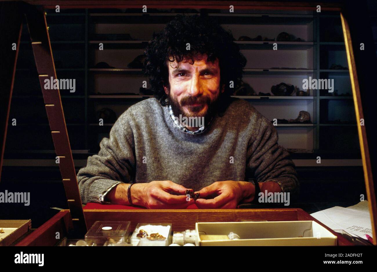 Palaeoanthropologist analysing fossils. Jacopo Moggi-Cecchi of the ...