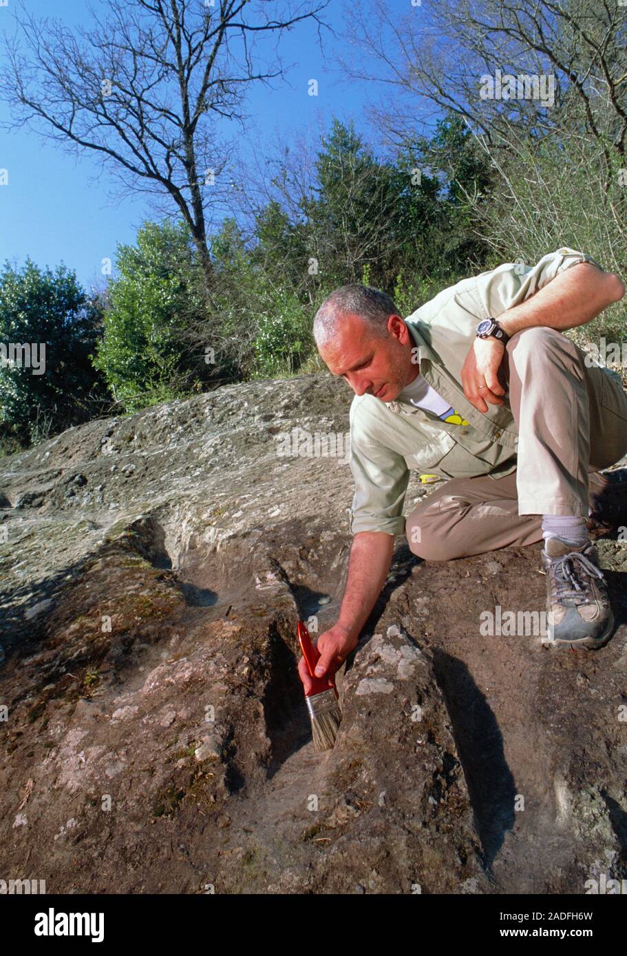Homo erectus tracks. The palaeont- ologist Dr. Marco Avanzini measuring ...