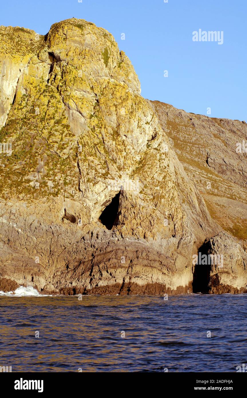 Paviland Cave, or Goat's Hole, on Wales' Gower Peninsula, site of the ...