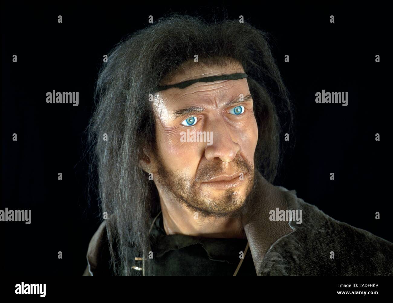 Modern human. Model of an early human (Homo sapiens) or Cro-Magnon man ...