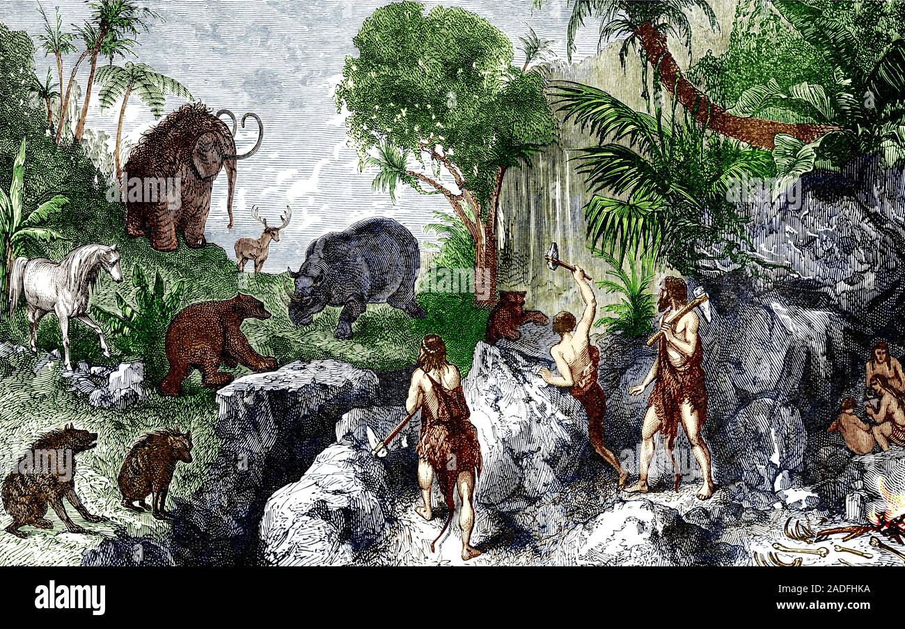 Prehistoric humans and mammals, historical artwork. The mammals at ...