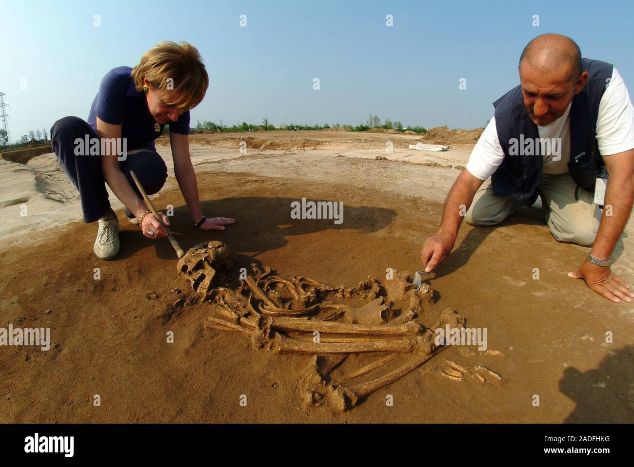 Excavating a prehistoric skeleton. Archaeologists clearing the rock ...