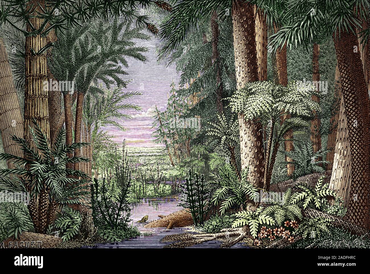 Carboniferous landscape. Historical artwork from 1868 showing flora ...