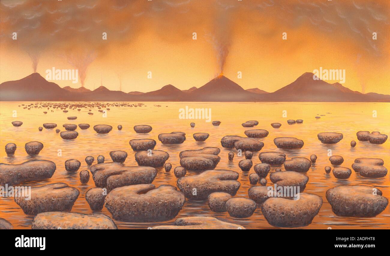 Early stromatolites. Artwork of early stromatolites during a volcanic ...