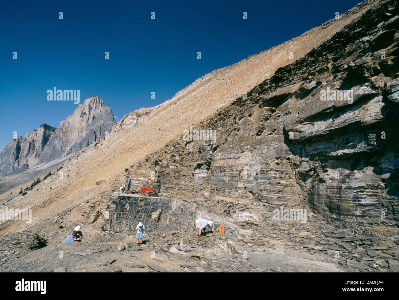 Burgess Shale fossil quarry. These rocks contain large numbers of ...