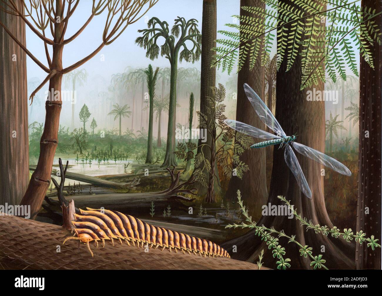 Carboniferous insects. Artwork of a millipede (Arthropleura) and a ...