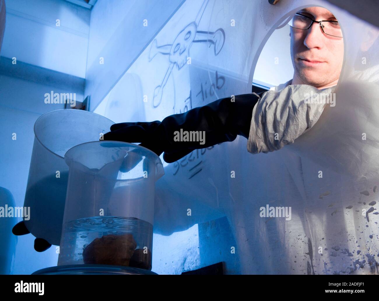 Fossil extraction. Technician pouring acid into a beaker containing a ...