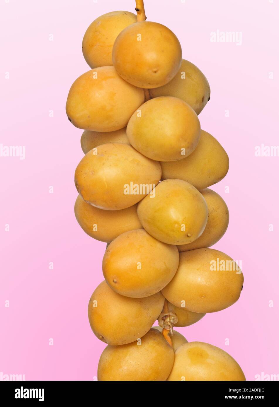 A bunch of fresh dates Stock Photo - Alamy